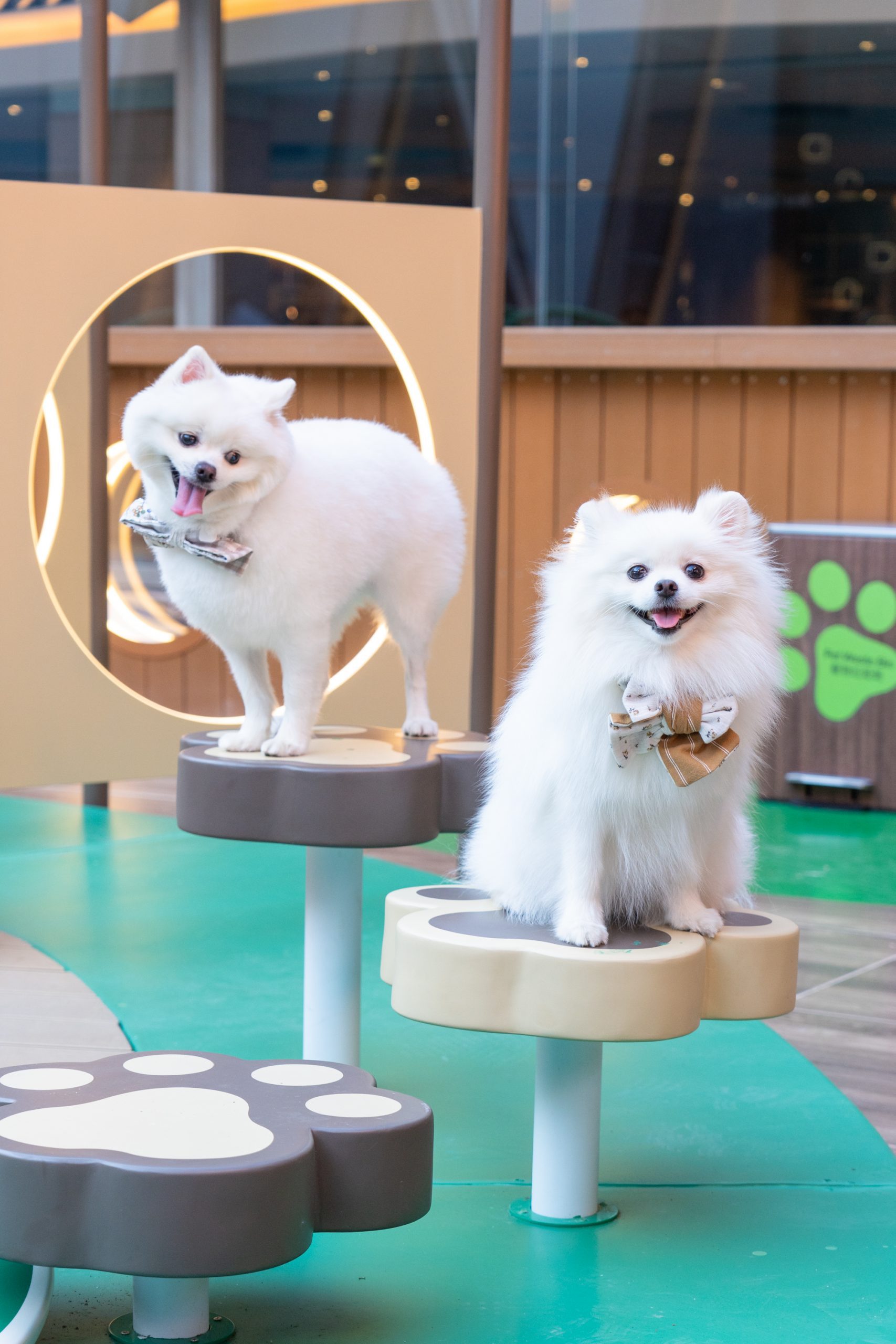 Pets Park - New Town Plaza